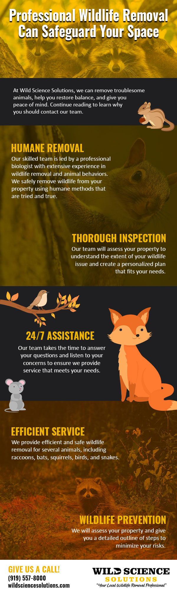 Professional Wildlife Removal Can Safeguard Your Space [infographic ...